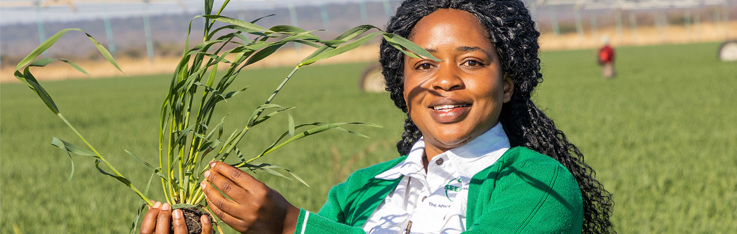 Testimonials - Seed Co Botswana | Field Crops