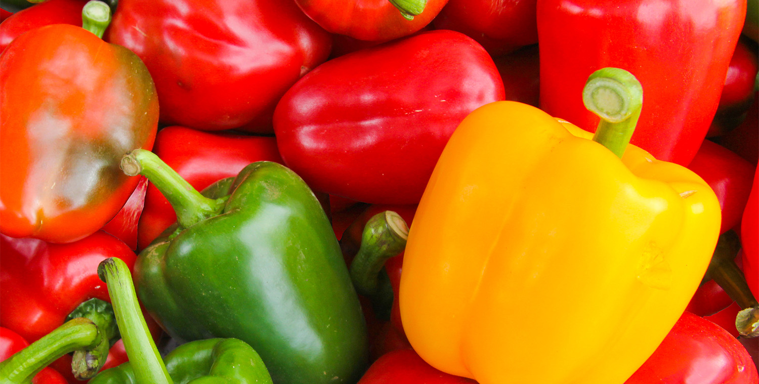 SPRINGBOK F1 (YELLOW) - Seed Co Botswana | Vegetables