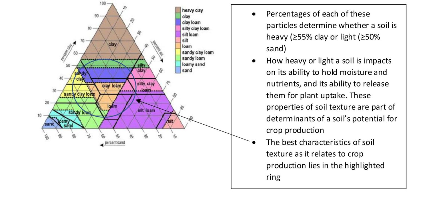 Soil Physics And Soil Life - Seed Co Botswana | Vegetables