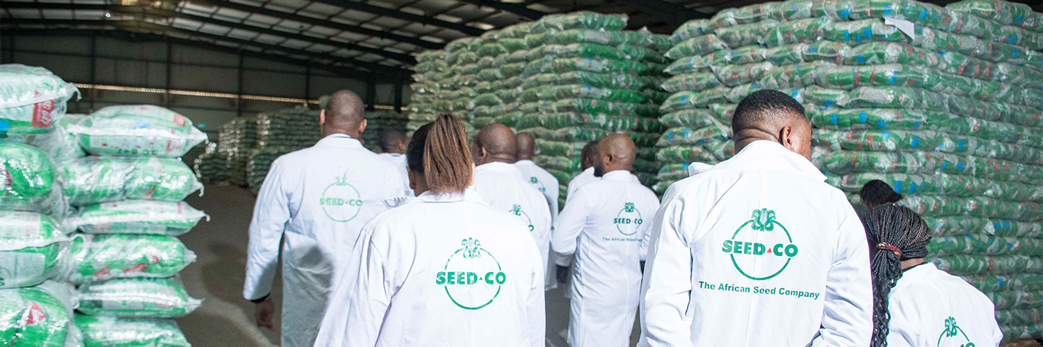 Seed Co DRC | Field Crops