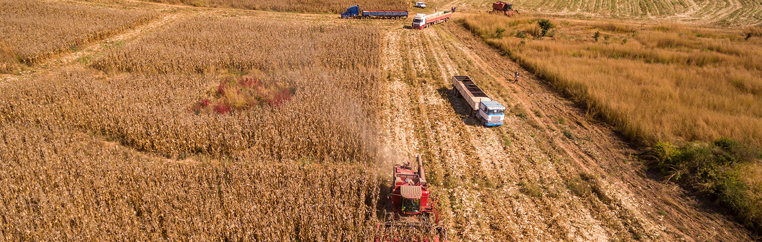 Events Calendar - Seed Co Kenya | Field Crops