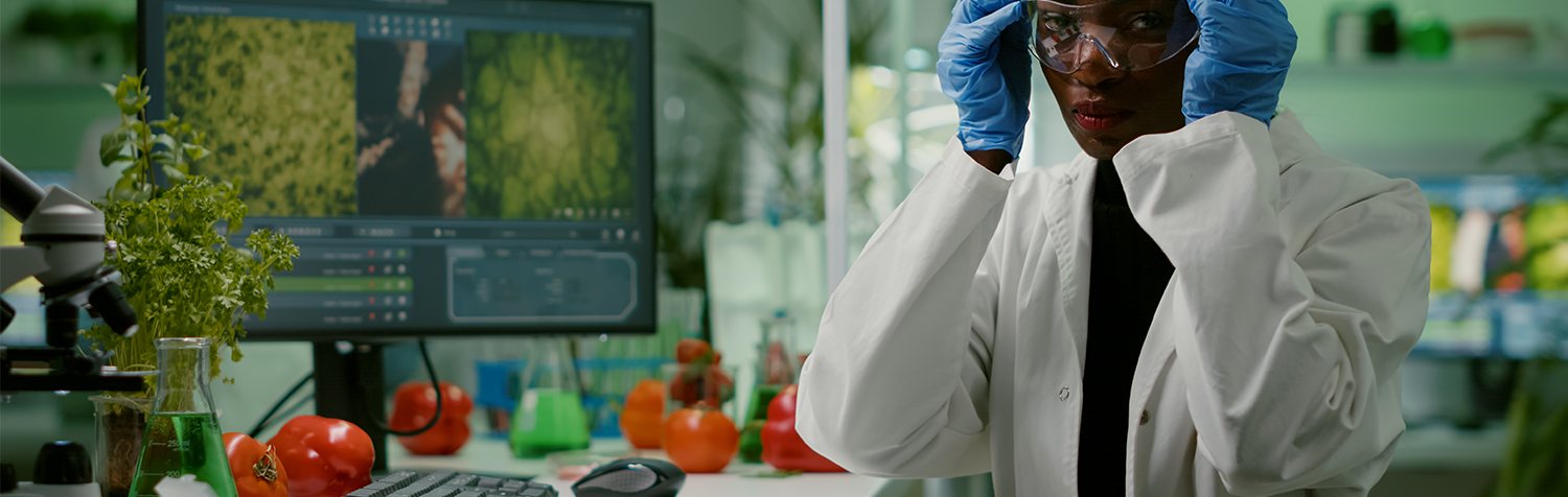 Innovations - Seed Co Kenya | Field Crops