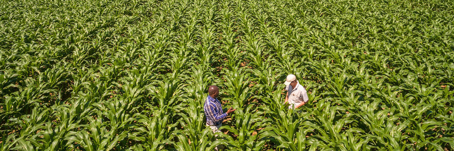 Research Team - Seed Co Kenya | Field Crops