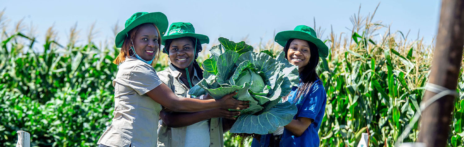 Sales Agronomists - Seed Co Malawi | Vegetables