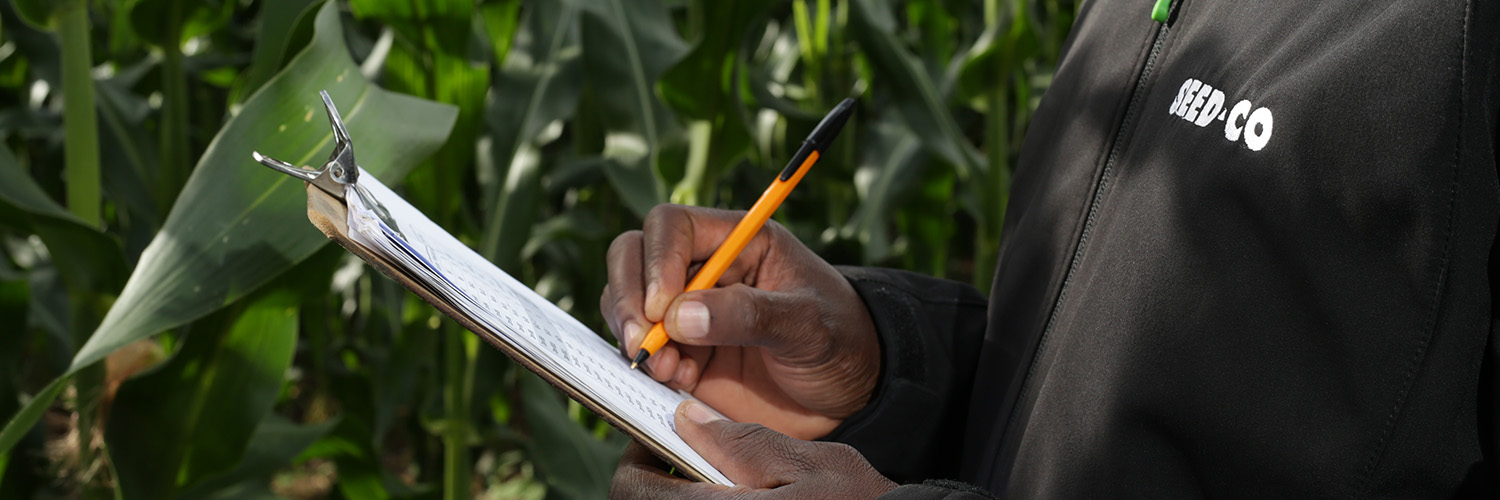 Seed Co Nigeria | Field Crops