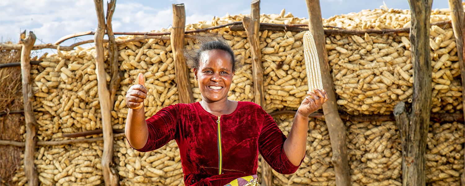 Maize Farming Regions - Seed Co Tanzania | Field Crops
