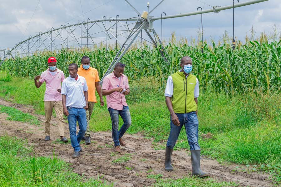 Seed Co West & Central Africa - Photo Gallery - KOP Farms Field Day