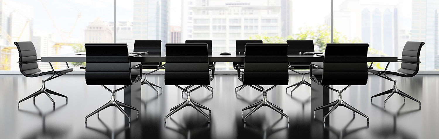 Seed Co Group Executive Team - Seed Co Group