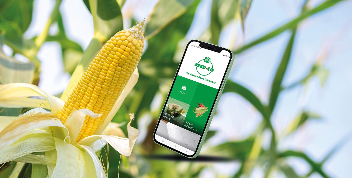 Seed Co Zambia | Field Crops