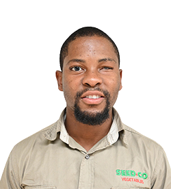 Tony Moyo - Seed Co Zimbabwe | Vegetables